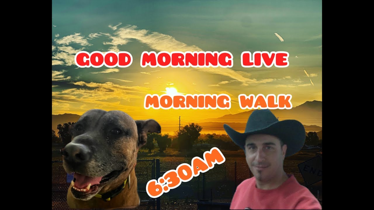 Rockin Rocco's TV is live! Morning Walk with Meatball The Dog Wonder 💭 ...