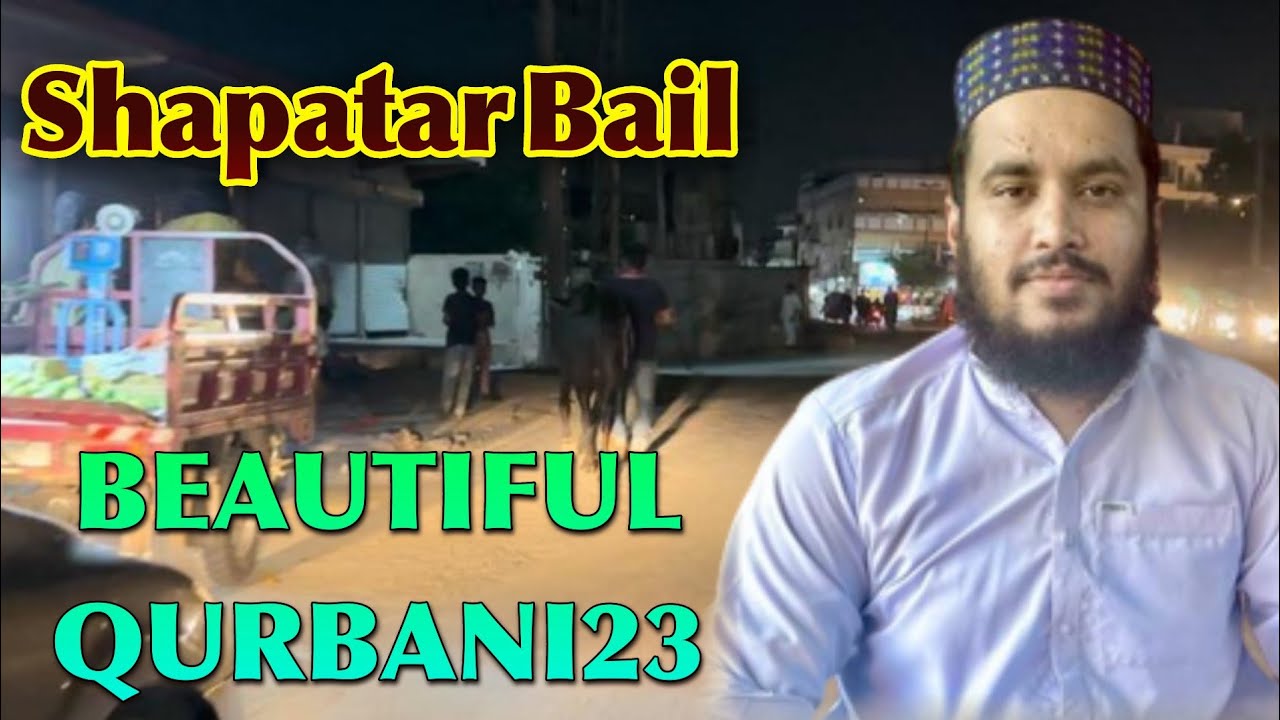 Shapatar Bail || Qurbani Animals 2023 || Beautiful Camel || Beautiful ...