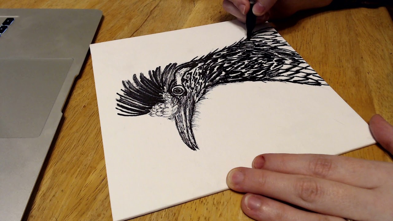 Tutorial: Pop Art Roadrunner Painting - YouTube