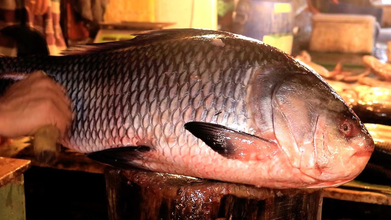 Big Katla Fish Cutting By Expert Fish Cutter | Fish Cutting Skills ...