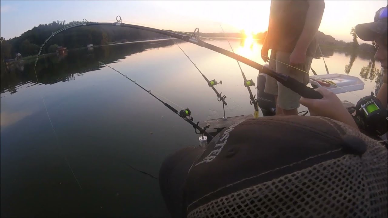 Catching flathead catfish on log jams - YouTube