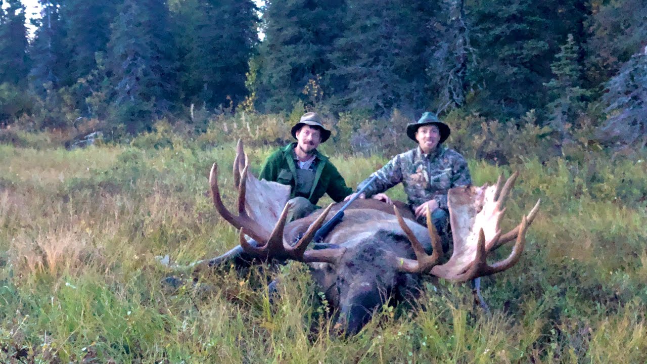 Giant Alaskan Moose – the hunt and experience - YouTube