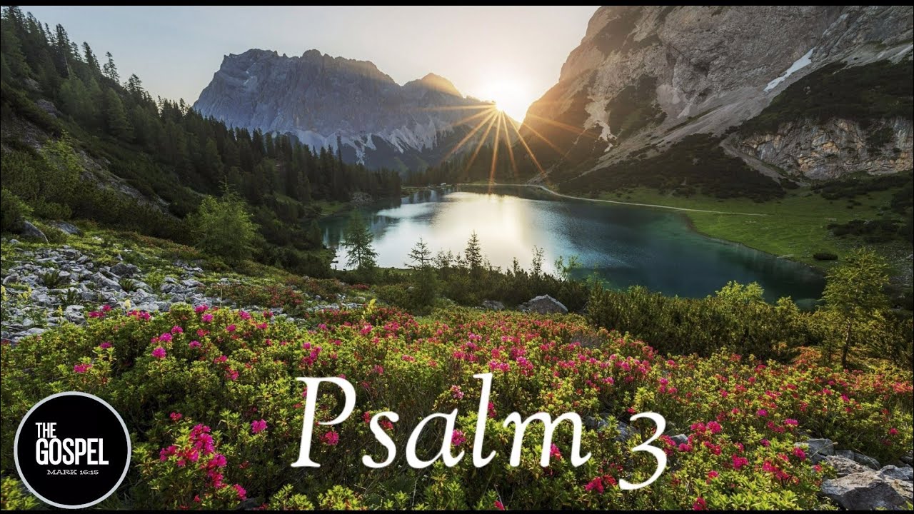 PSALM 3- KJV AUDIO BIBLE (Feat. Aaron Liwanag) - YouTube