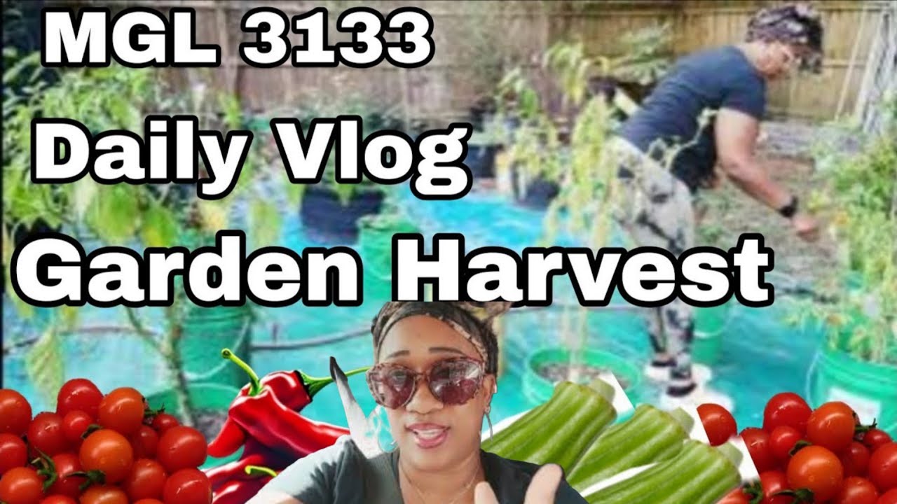 Golden Corral Adventure || Epic Backyard Garden Harvest - YouTube