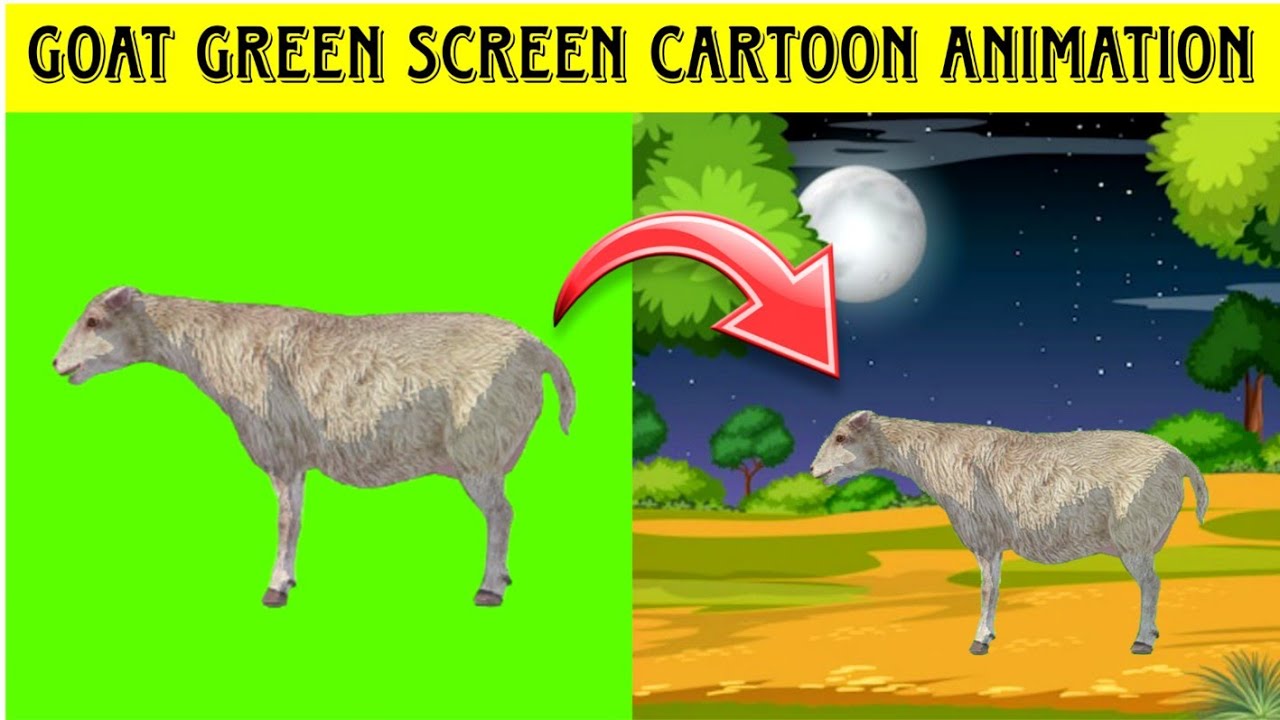 goat green screen cartoon animation. - YouTube