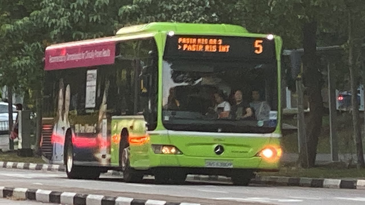 Not alone ndp 2024 buses and trains - YouTube