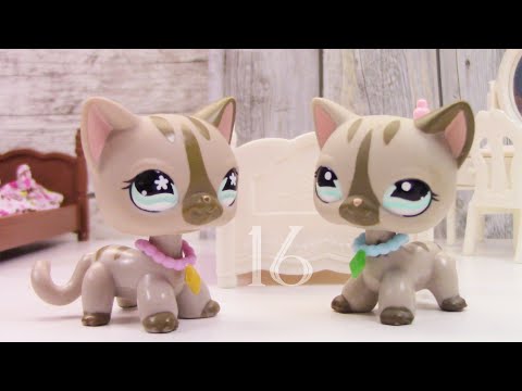 LPS: 16 (Short Film)