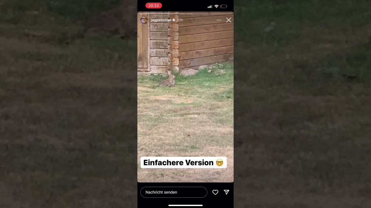 Daily PietSmiet Story’s Wimmelbildsuche mit Jonathan William Moritz Apelt 👀 (Jonathan, 09.08. ...