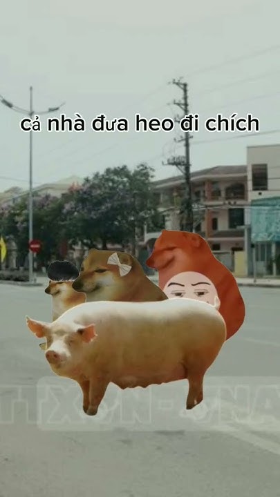 Con heo số nhọ nhất #memes #GOOD SHADOW - YouTube