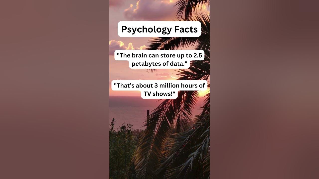 "How Much Can Your Brain Really Hold?" - YouTube