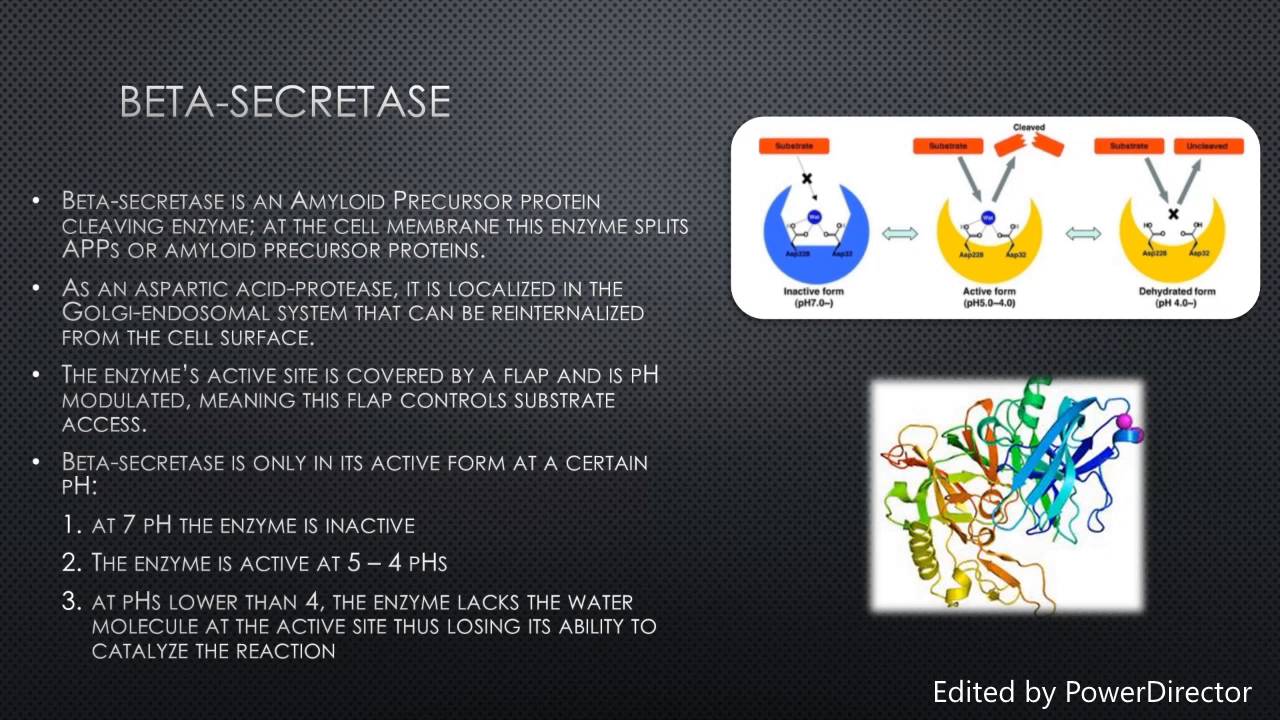 Beta-secretase Enzyme Star Wars Edition - YouTube
