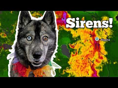 CRAZY Tornado Threat Weather In Michigan! 🌪️ Dogs In Storm Warming!