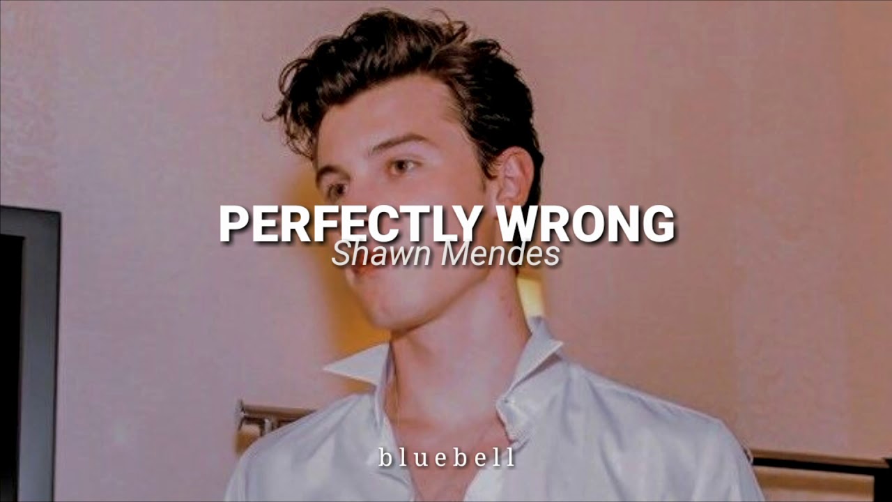 Perfectly Wrong-Shawn Mendes (sub. español) - YouTube