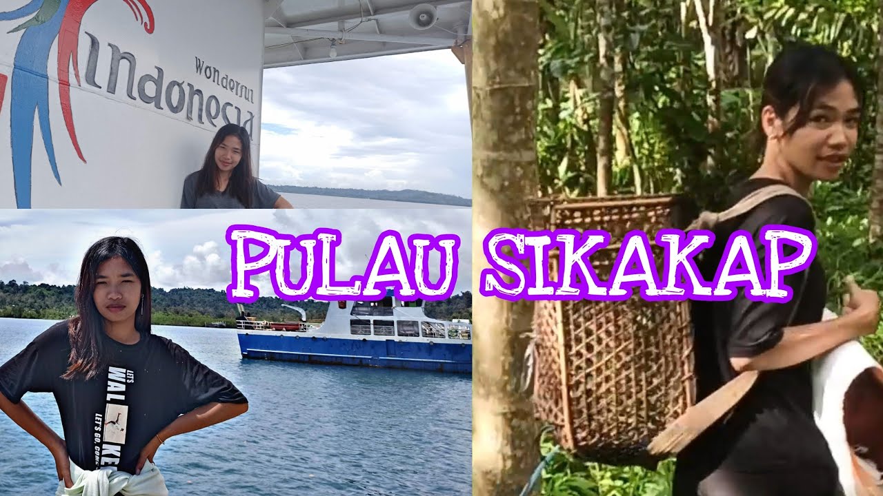 Sikakap Kepulauan Mentawai || Panen Samung - YouTube