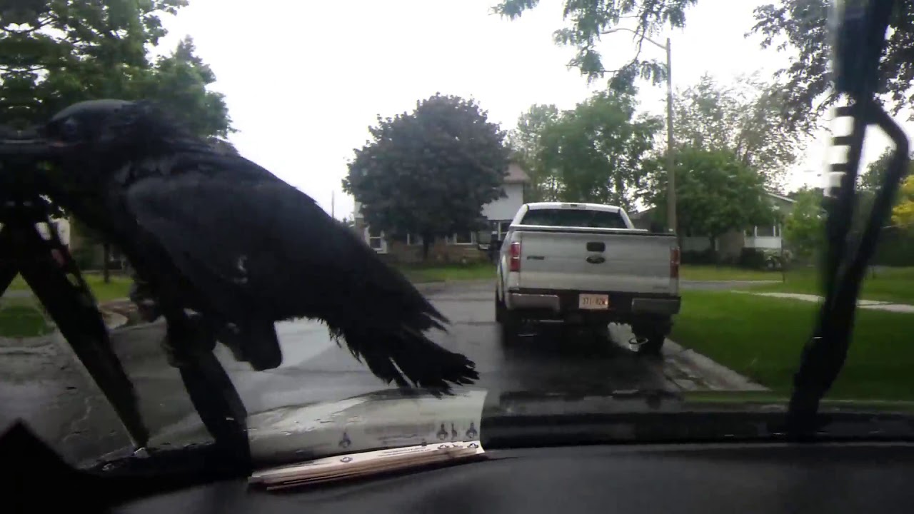 CORB in action !!🚜 - YouTube