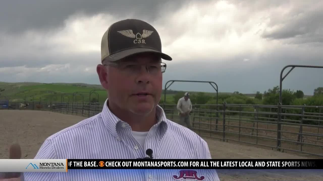 Not their first rodeo: Copper Springs Ranch stock aims for consistency ...