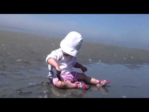 Warm Tide Pools at Carkeek Park - YouTube