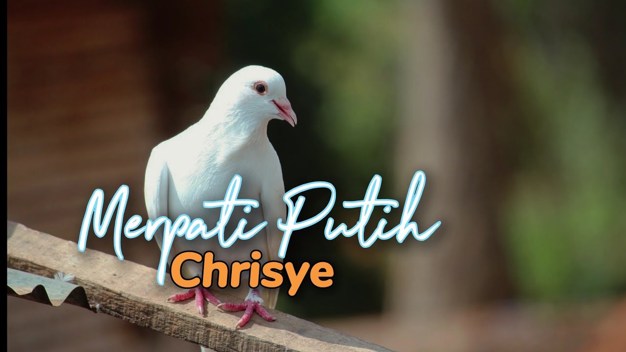CHRISYE - Merpati Putih ( Lirik ) | Composer EROS DJAROT | Album BADAI ...