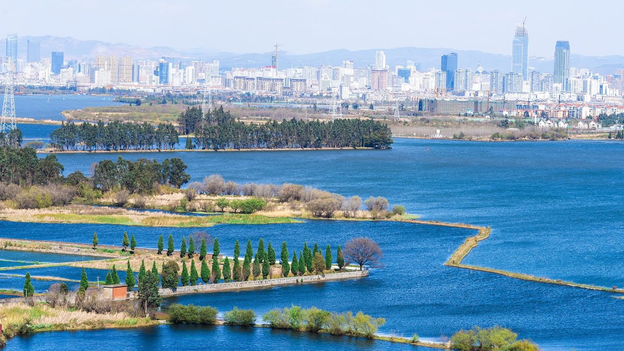 Live: Enjoy the charming view of Haihong Wetland Park in SW China's ...