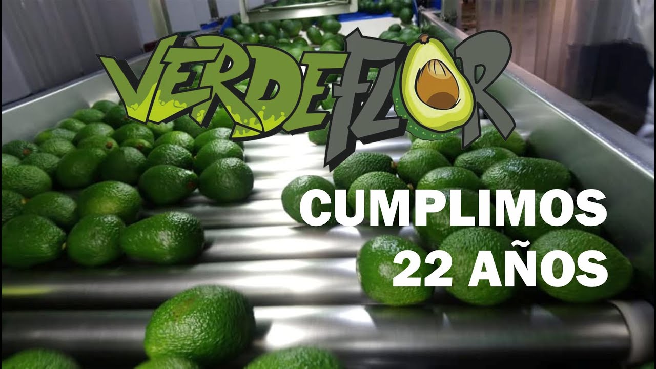 Empresa VERDEFLOR cumple 22 años - YouTube