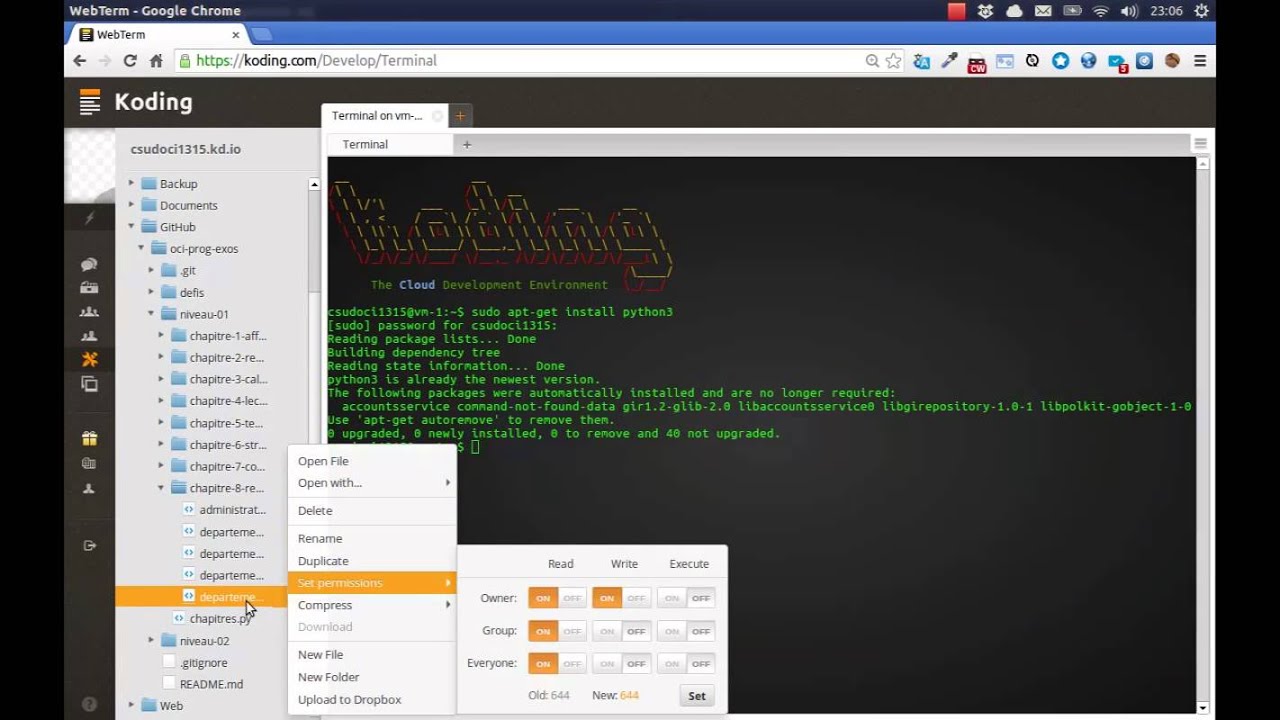 Koding - cours 03 : éditer et tester le code Python - YouTube