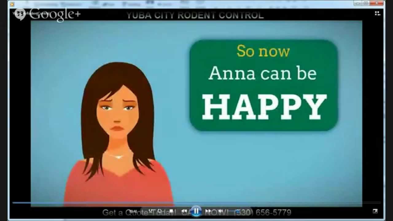 Yuba City Rodent Control | (530) 656-5779 | Rodent Control Yuba City ...