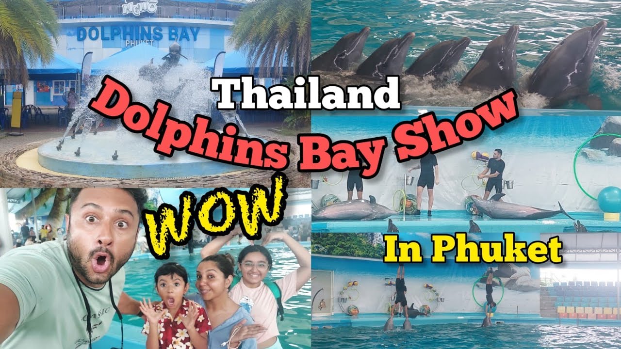 Dolphins Bay Show In Phuket Thailand | phuket Dolphins Bay Show ...