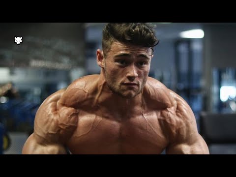 BAD WOLF 🐺 - Dylan Mckenna