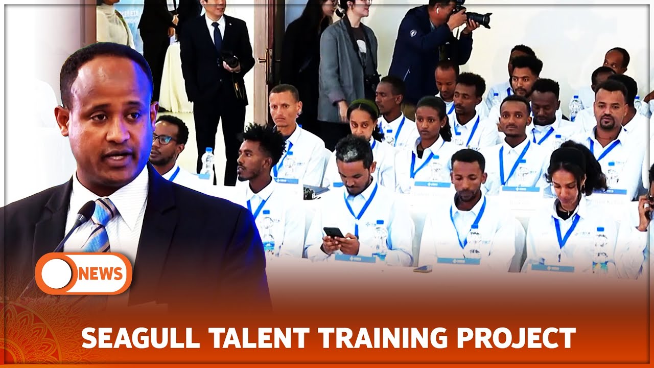 SEAGULL TALENT TRAINING PROJECT - YouTube