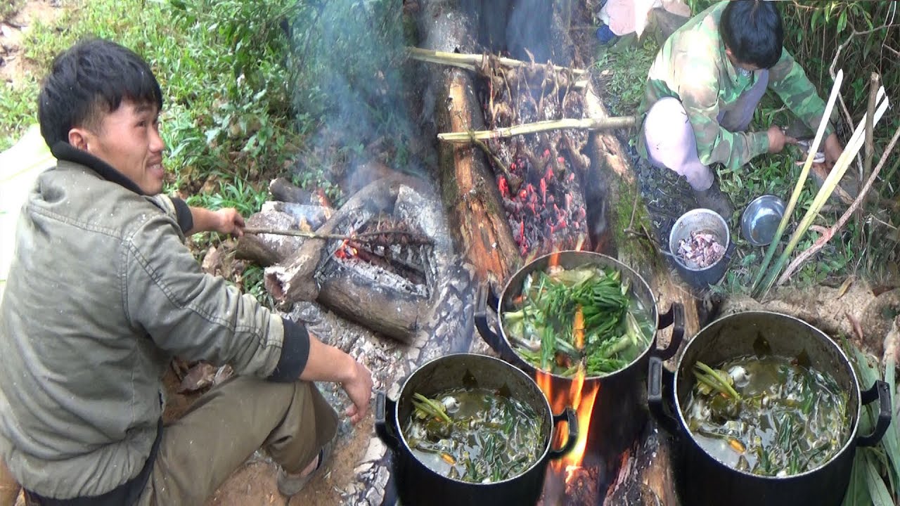 Hunting Squirrels, Pigeons and Birds In The Mountains | Yos hav zoov tua nas tua nquab noog ...