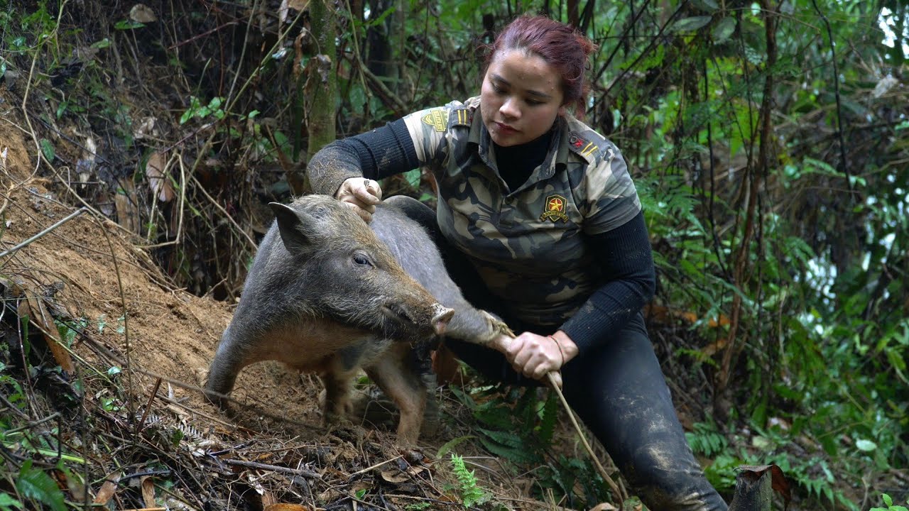 Wild boar hunting skills, how to set rudimentary traps, and survive ...