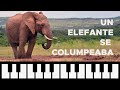 Como Tocar: Un Elefante se Balanceaba 🐘🎹 Melodica 🎹🐘 TUTORIAL con NOTAS