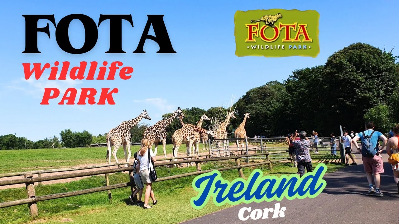 FOTA Wildlife Park CORK Ireland || A Must Visit Place With Kids - Zoo ...