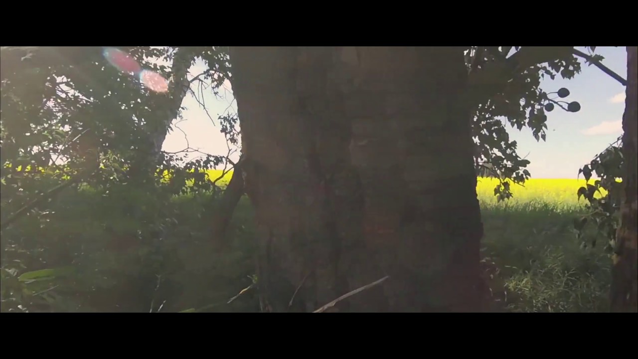 A ShortFilm - Forest - YouTube