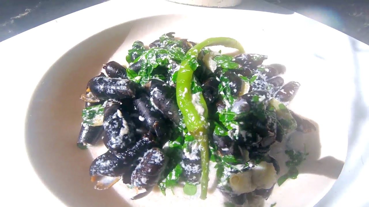 GINATAANG BITANGA OR SPIRE SHELL SNAILS#ginataangseashells - YouTube