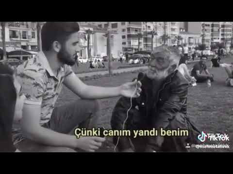 Cok aci bee