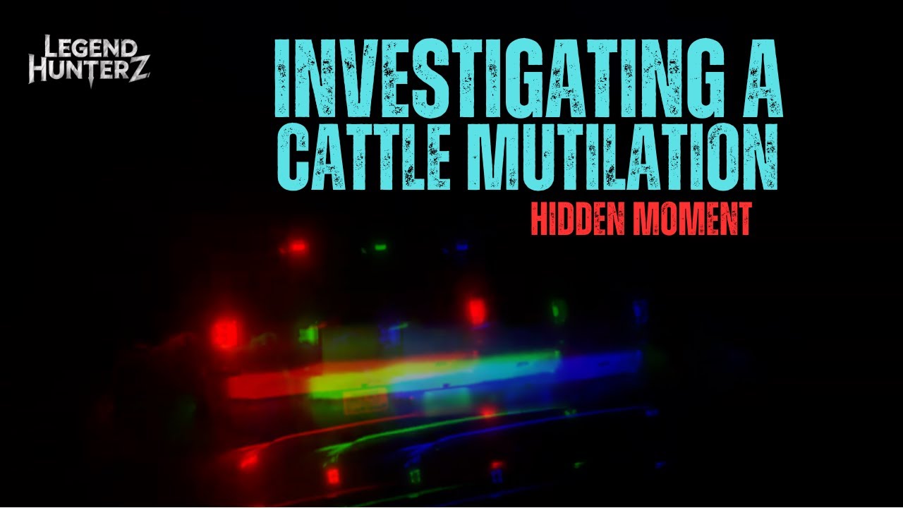Investigate A Cattle Mutilation - Hidden Moment - YouTube
