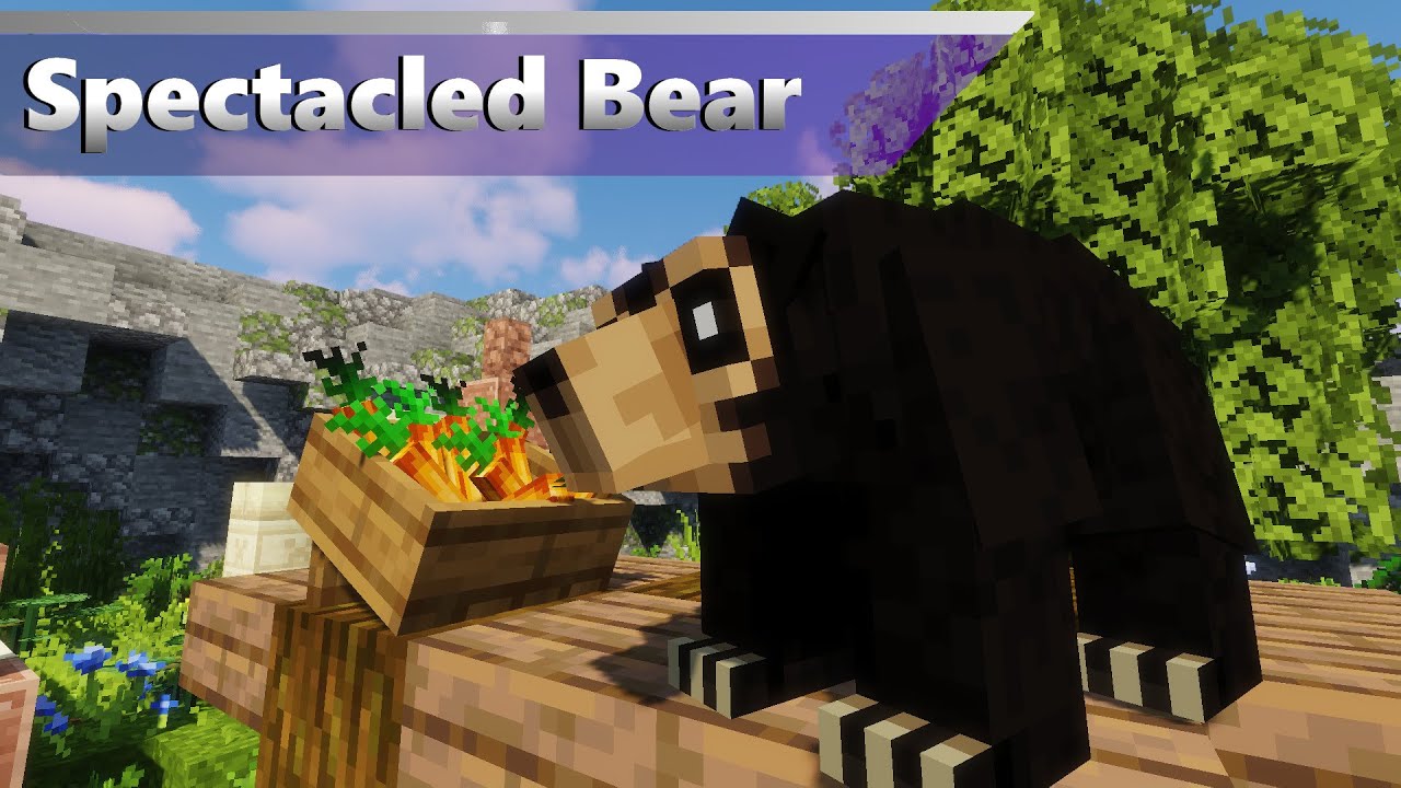 Spectacled Bear | Alex's Mobs Zoo (Minecraft 1.16.5 Zoo) - YouTube