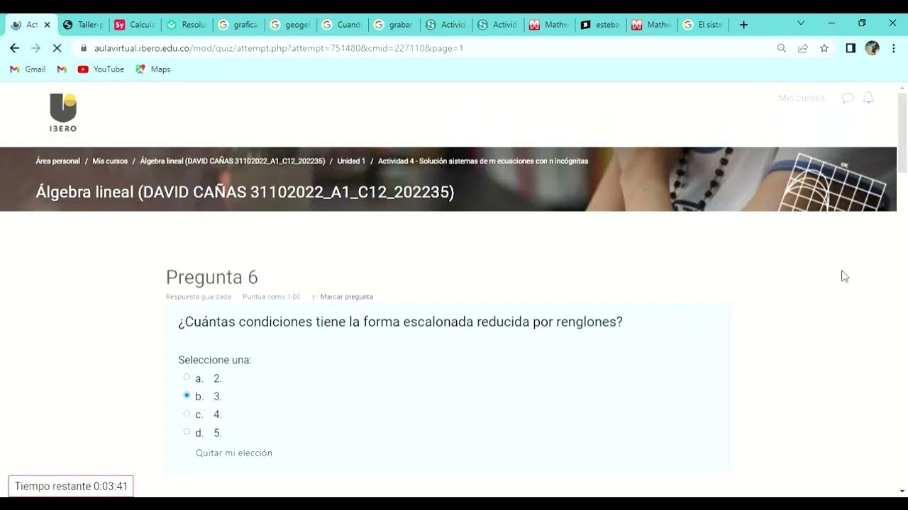 Actividad 4 Solución sistemas de m ecuaciones con n incógnitas página 1 ...