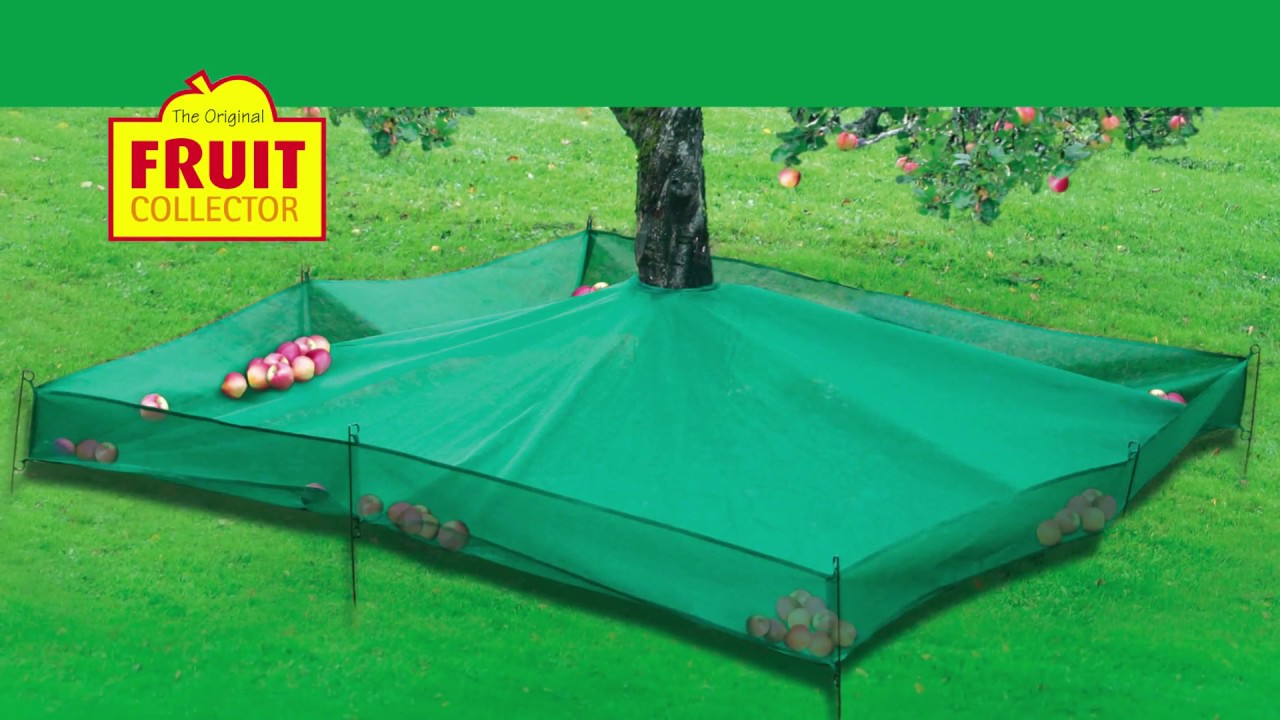 Fruit Collector - YouTube