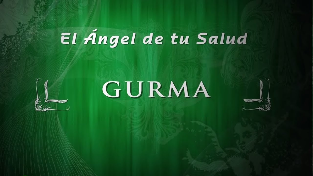 Gurma para controlar diabetes y glucosa - YouTube