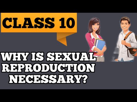 WHY IS SEXUAL REPRODUCTION NECESSARY|CLASS 10|HOW DO ORGANISM'S ...