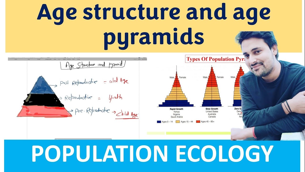 age structure and age pyramid explained in hindi || population ecology ...