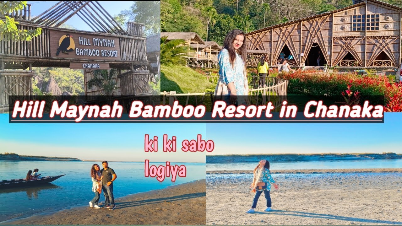 Hill Maynah Bamboo Resort in Chanaka//near Guwahati//TustyMBezz/vlog ...
