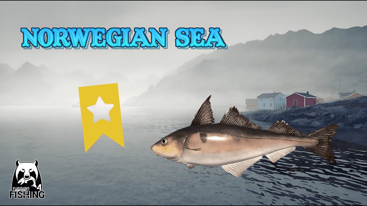 RF4 NORWEGIAN SEA HADDOCK TROPHY - YouTube