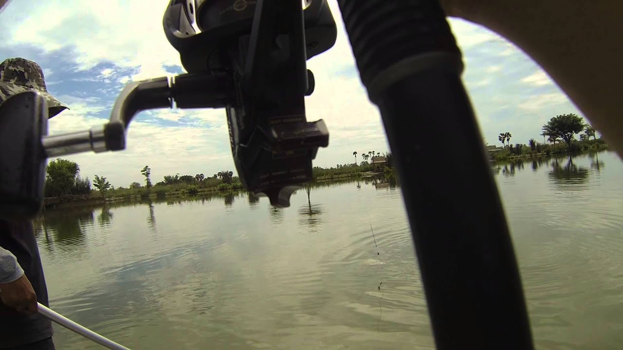 My first Siamese Carp in Jurassic Mountain resort and fishing park ...