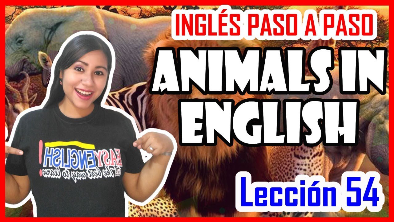 Lección 54: 👩🏻‍🏫 ANIMALS in ENGLISH 🐅🦌🦓 Vocabulary - YouTube