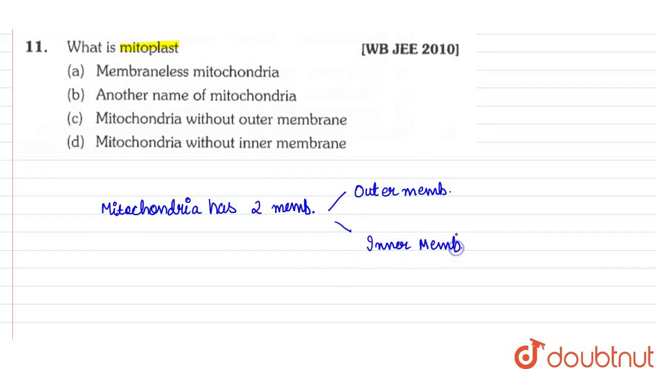 What is mitoplast - YouTube