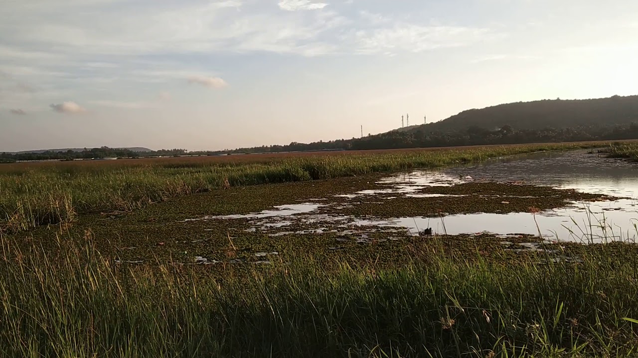 Beautiful Pernem - YouTube