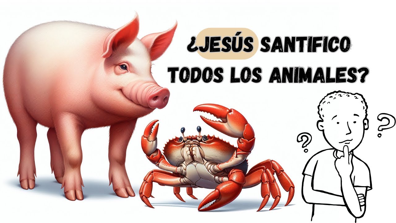 Marcos capítulo 7 desde una perspectiva hebrea. ¿Jesús enseñó qué se ...